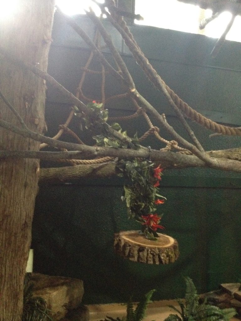 Hanging Log Platform