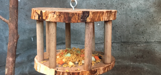 Hanging Log Platform - Wild Enrichment