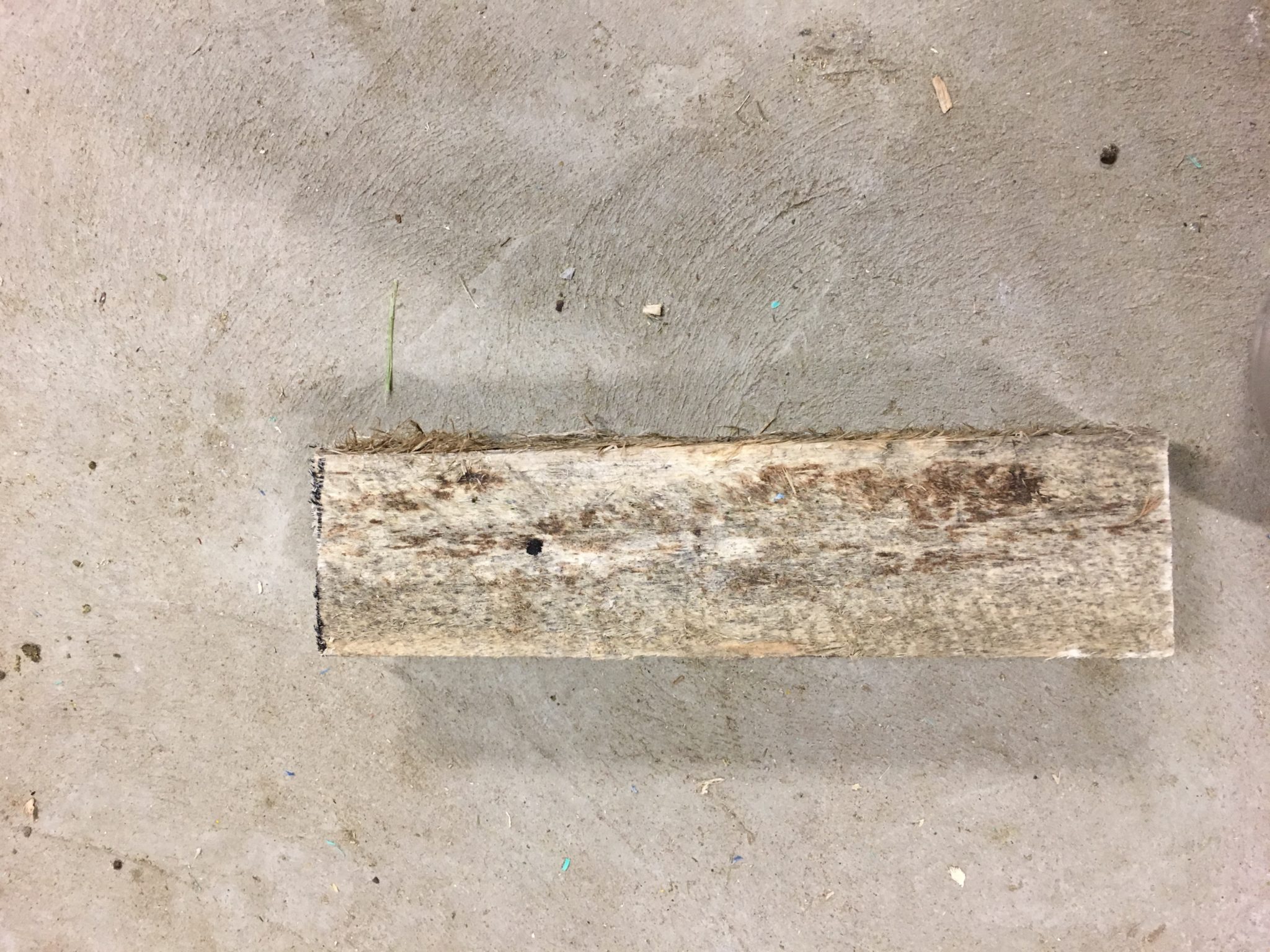 PVC Teeter Feeder